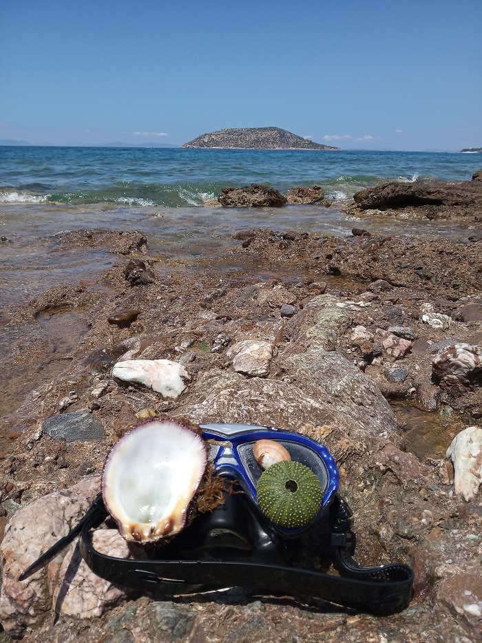 Ταξίδια μακρινά ως την Τζαμάικα | πιτσιρίκος