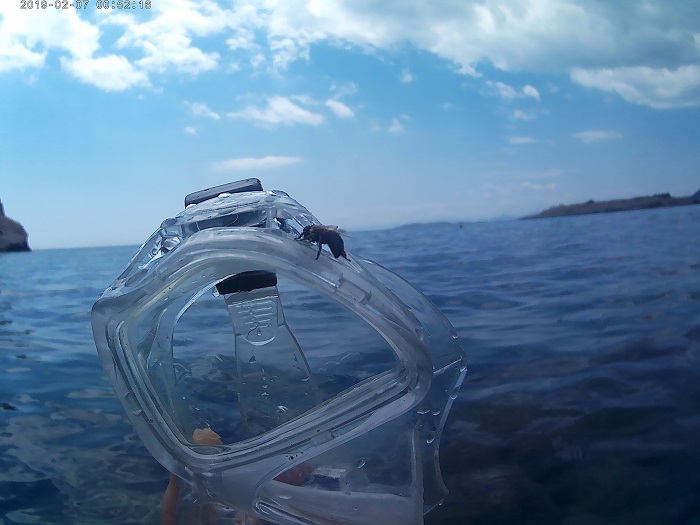 “Η ψήφος μας μετράει”, γιατί “τα κουρέλια τραγουδάνε ακόμα” | πιτσιρίκος
